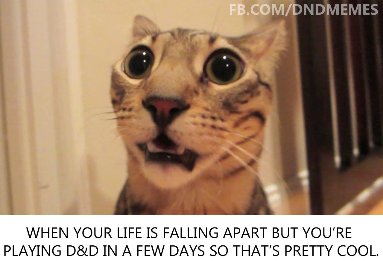 28 of the best DnD Memes