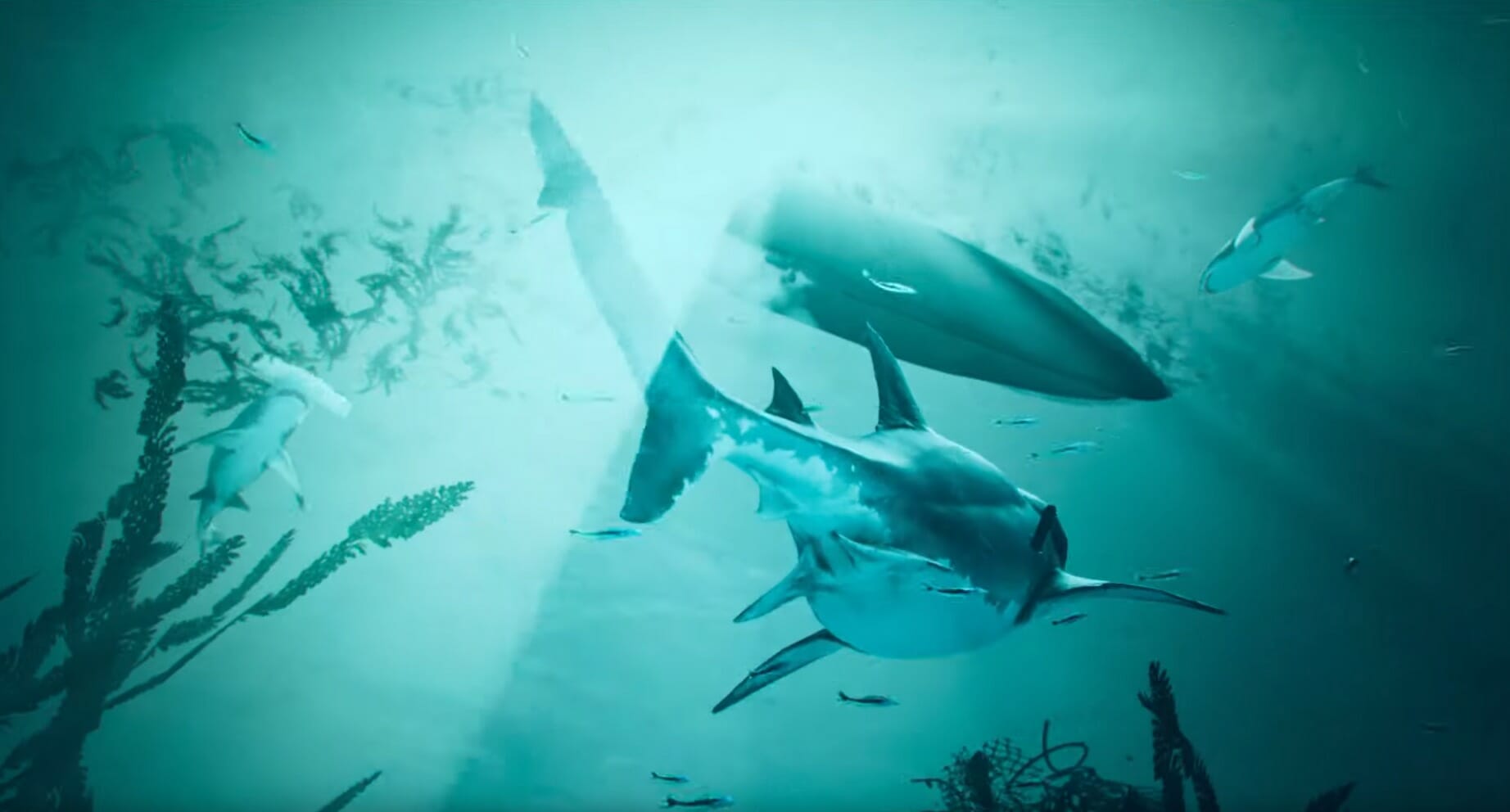 Your character is a shark in the Maneater RPG